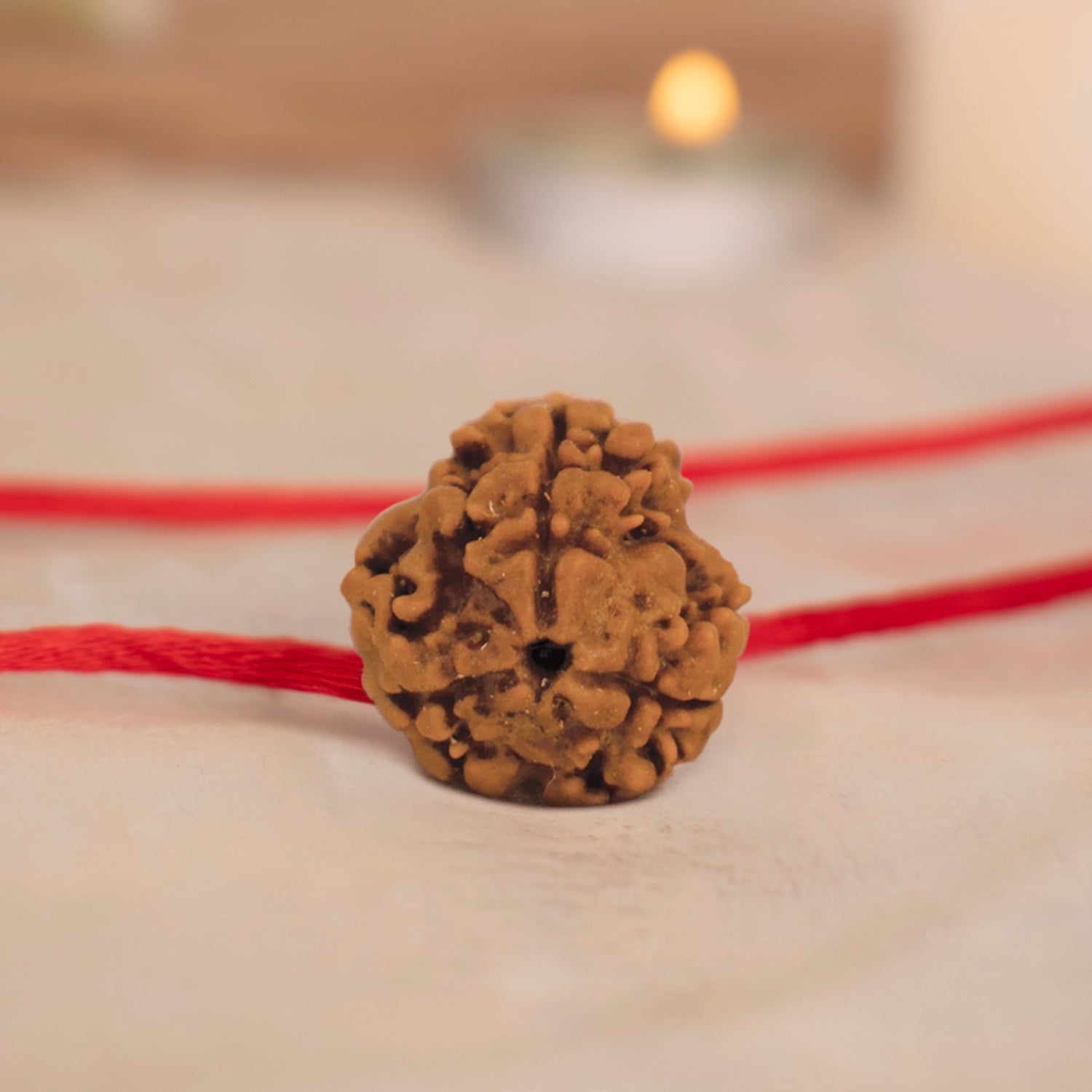 Buy Orignal Rudraksha Online at Best Price - Astrotalk