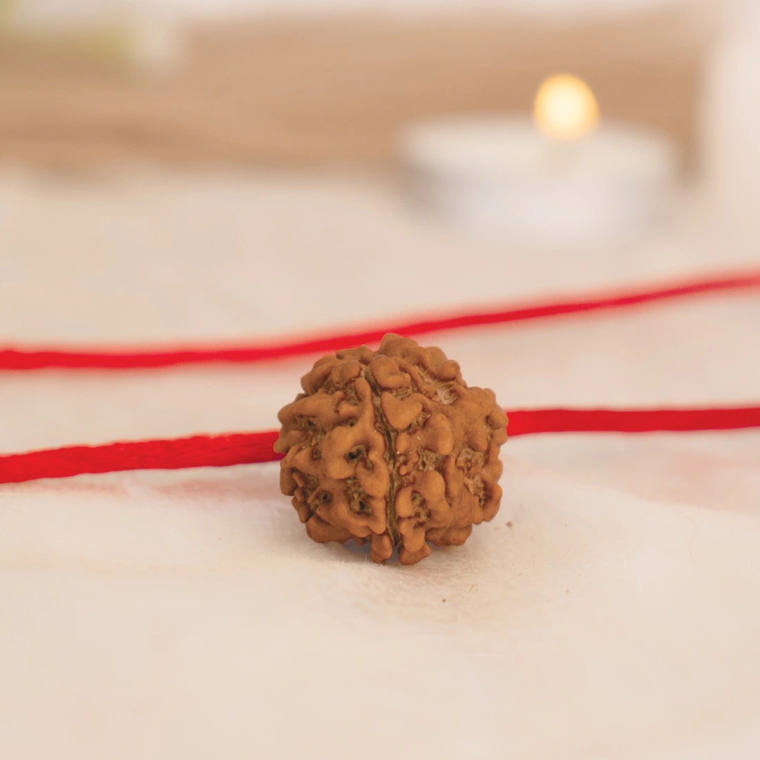 Buy Orignal Rudraksha Online at Best Price - Astrotalk