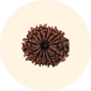 Astrotalk Store – Karungali, Rudraksha, Pyrite & Crystal Jewellery